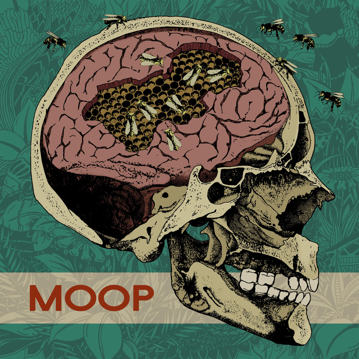 Album Appreciation: Moop by Moop – THE FRAGMENTED FLÂNEUR.